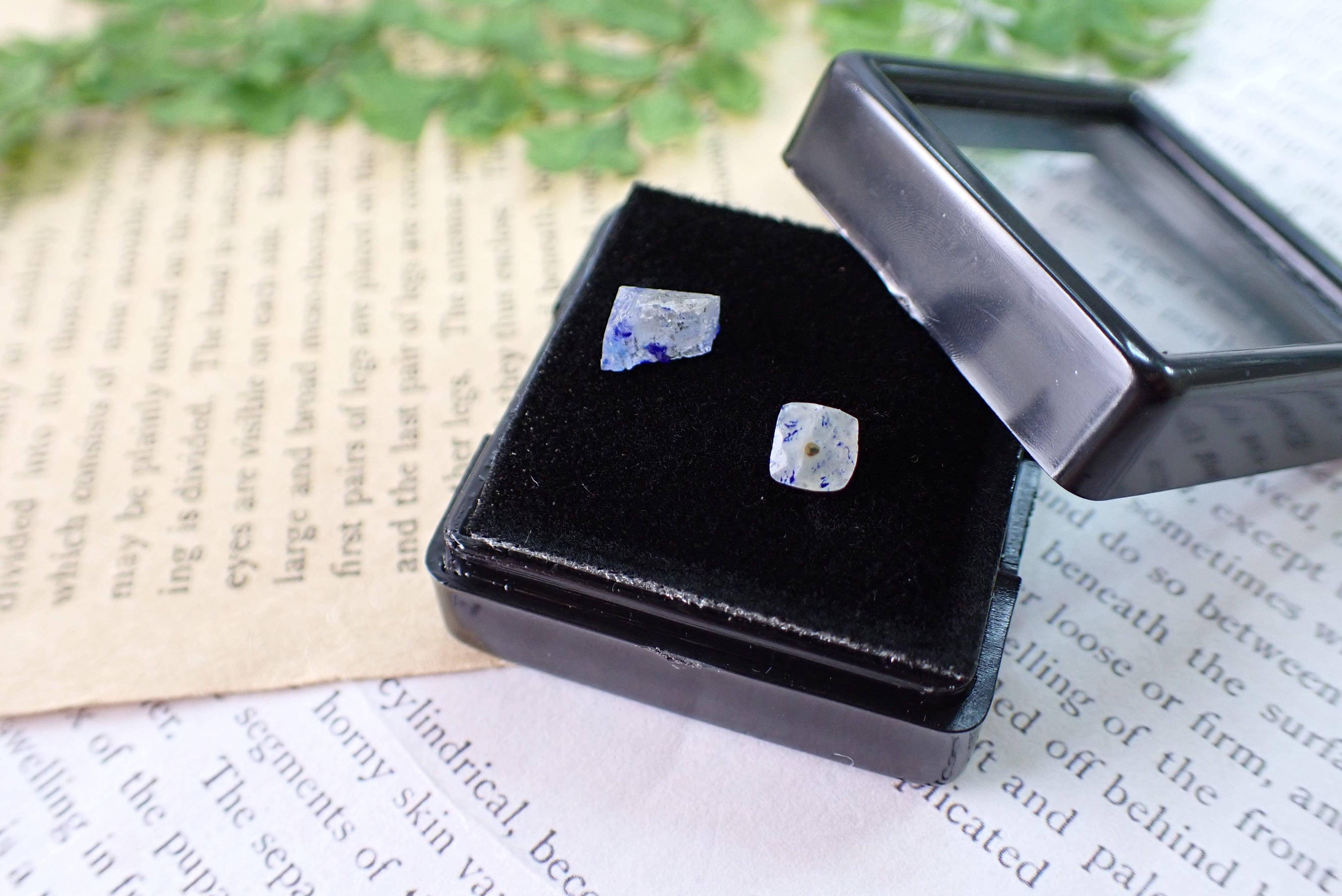 【原石セット】ラズライトインソーダライト 0.22ct/0.62ct [C6‐662] | Pay ID