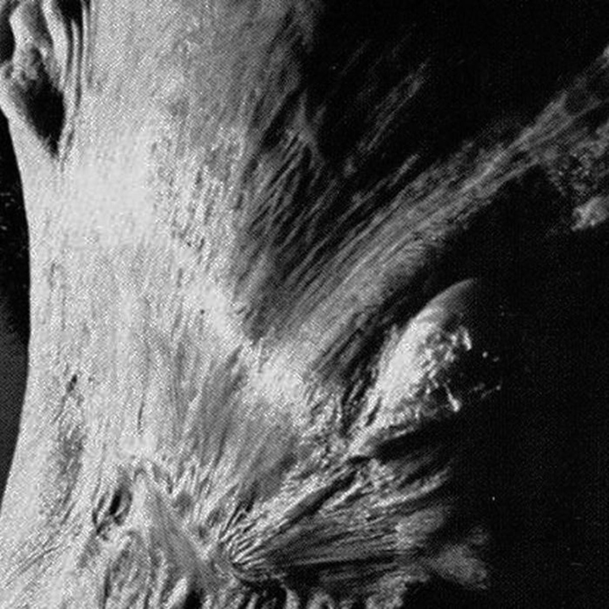 SECT - Burning Flesh | sssm