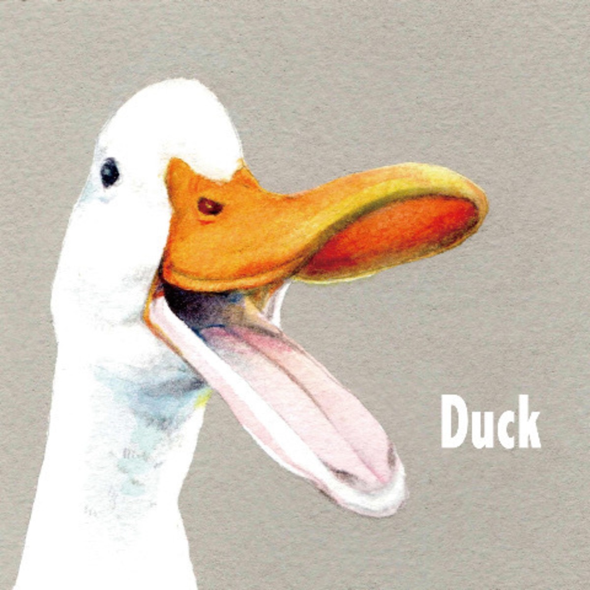 たいみずえ Z20-5個 | moripen