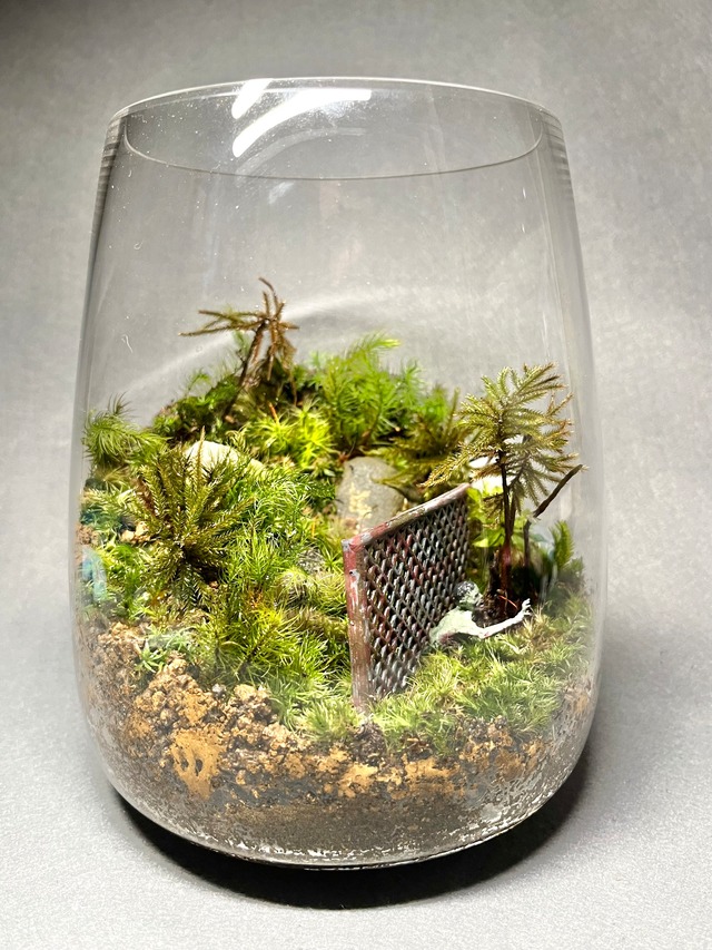 【Terrarium Of The Dead】第一弾 テラリウムオブザデッドシリーズ第一弾 | 草原farm