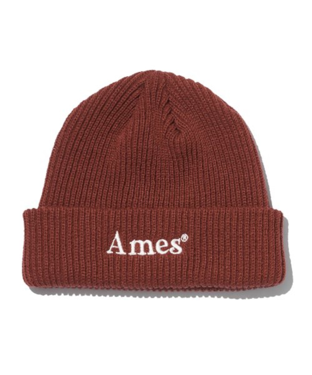 [AMES-WORLDWIDE] COLORED LOGO BEANIE_BR(21FWCP03) | もごつ