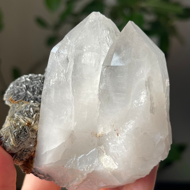 Mica Flower x Quartz - マイカフラワー x クォーツ | miniME crystal