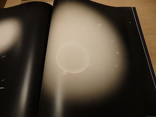 4PiR2 / Camille Solyagua（カミール・ソルエガ） | 百年