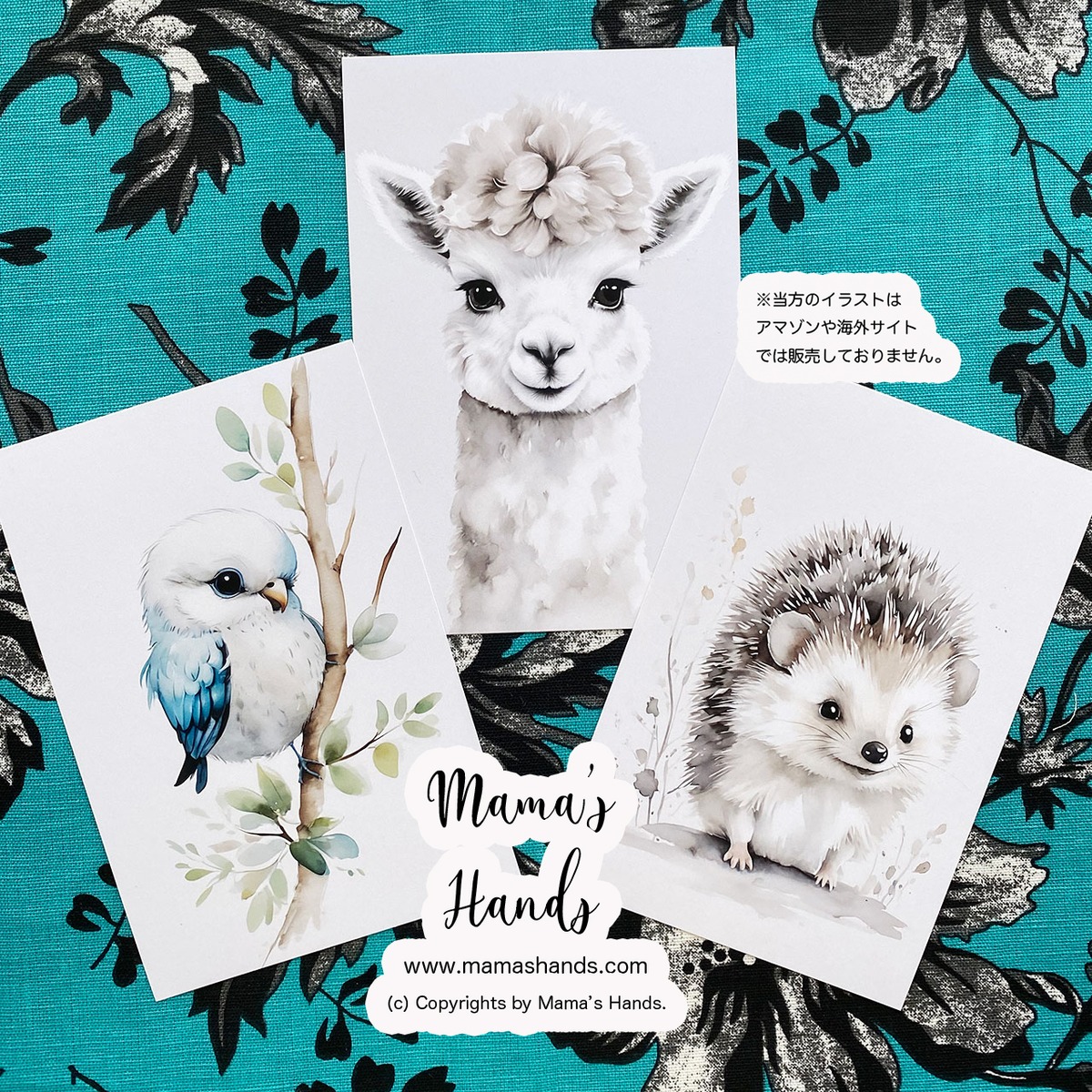 小鳥 アルパカ ハリネズミ 水彩画 イラスト アート 3枚 動物 アニマル ハガキ ポストカード セット | Mama's Hands