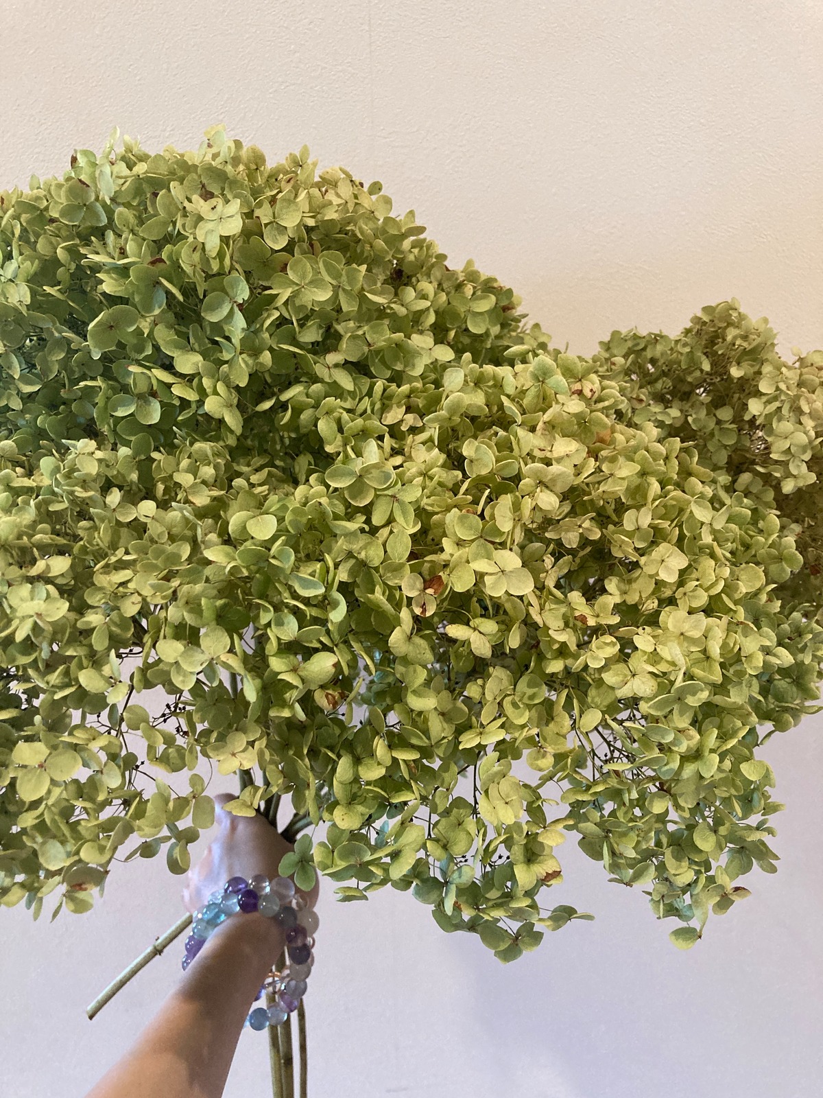 斎藤様専用 ドライアナベル | SOBANI