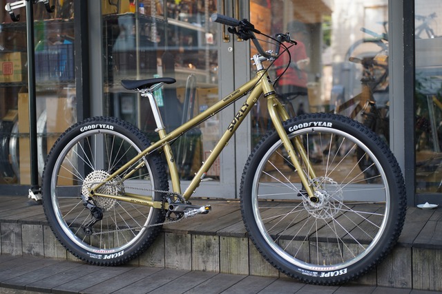 SURLY | MATTHEW CYCLE