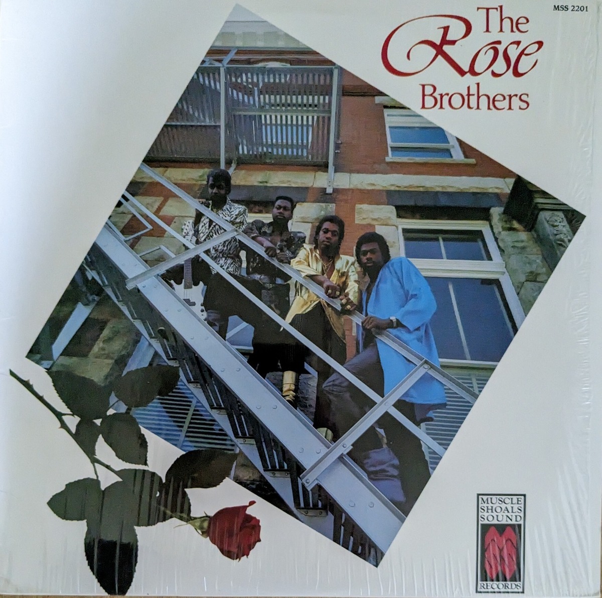 LP：The Rose Brothers | 音とこだま