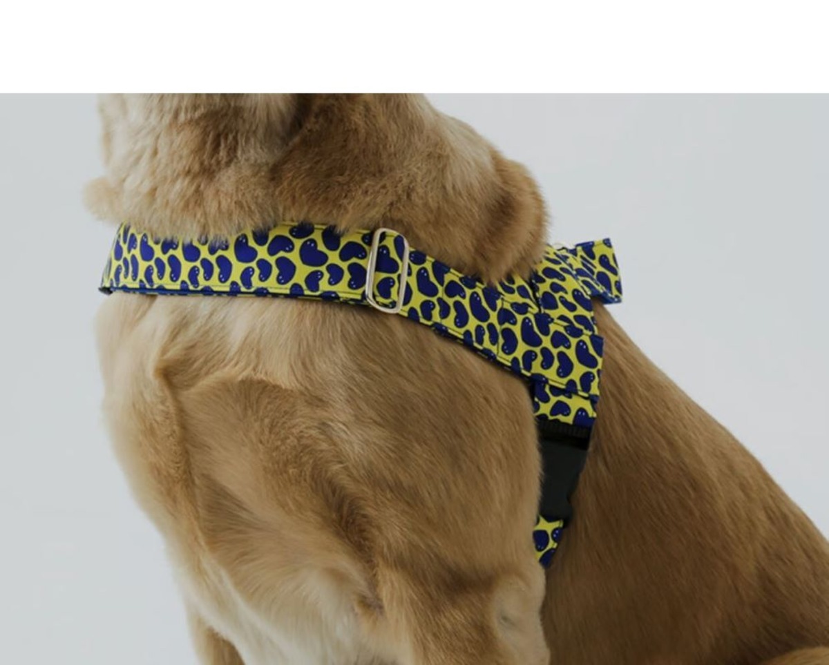 ☆NORADOG 予約販売 Pier39/ピア39 イージーハーネス小型犬・中型犬 S〜LサイズP-1037 | dogLaBoutique