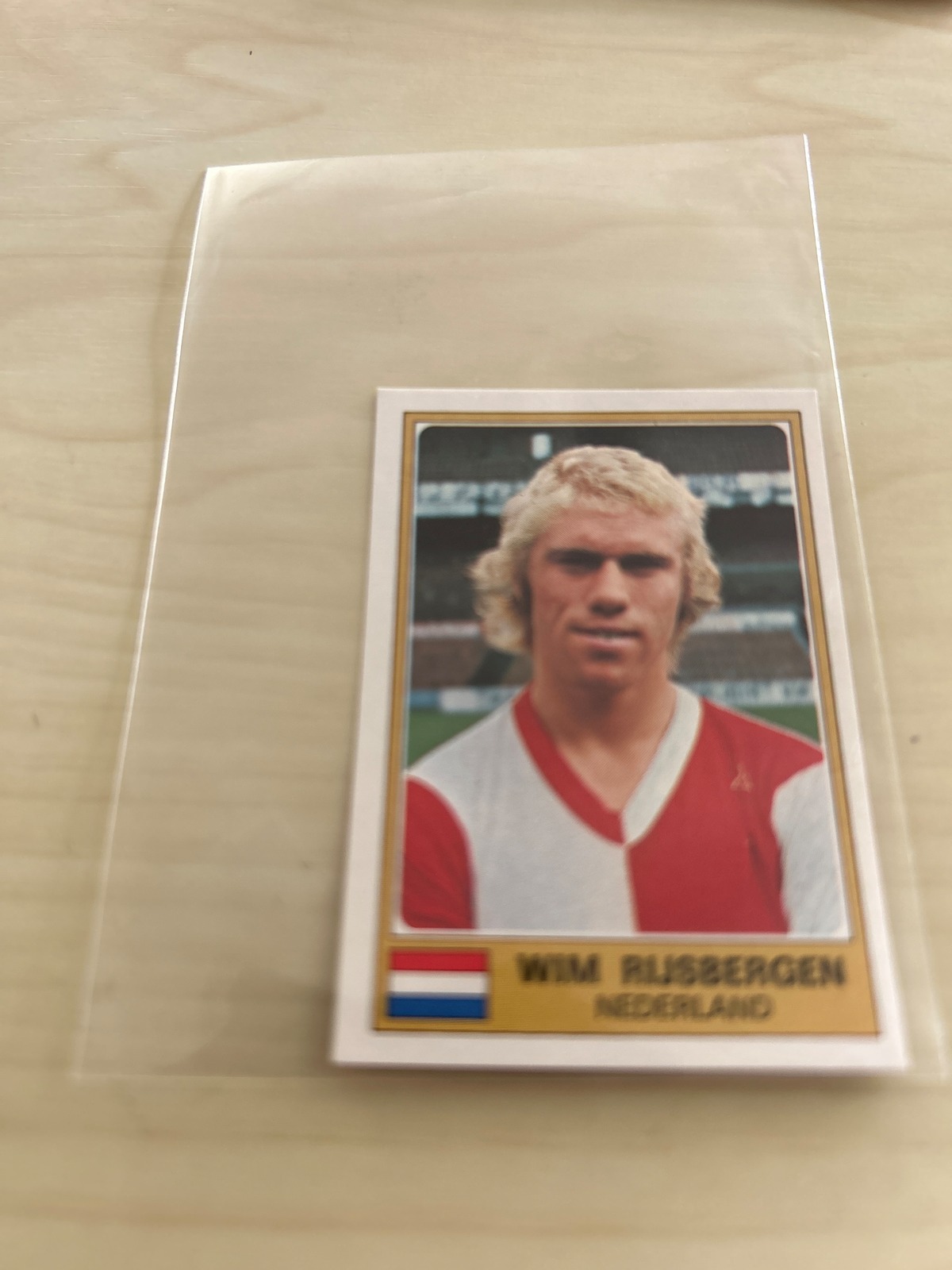 Panini Euro Football 1976 Stickers 19 Players | World Star Collection