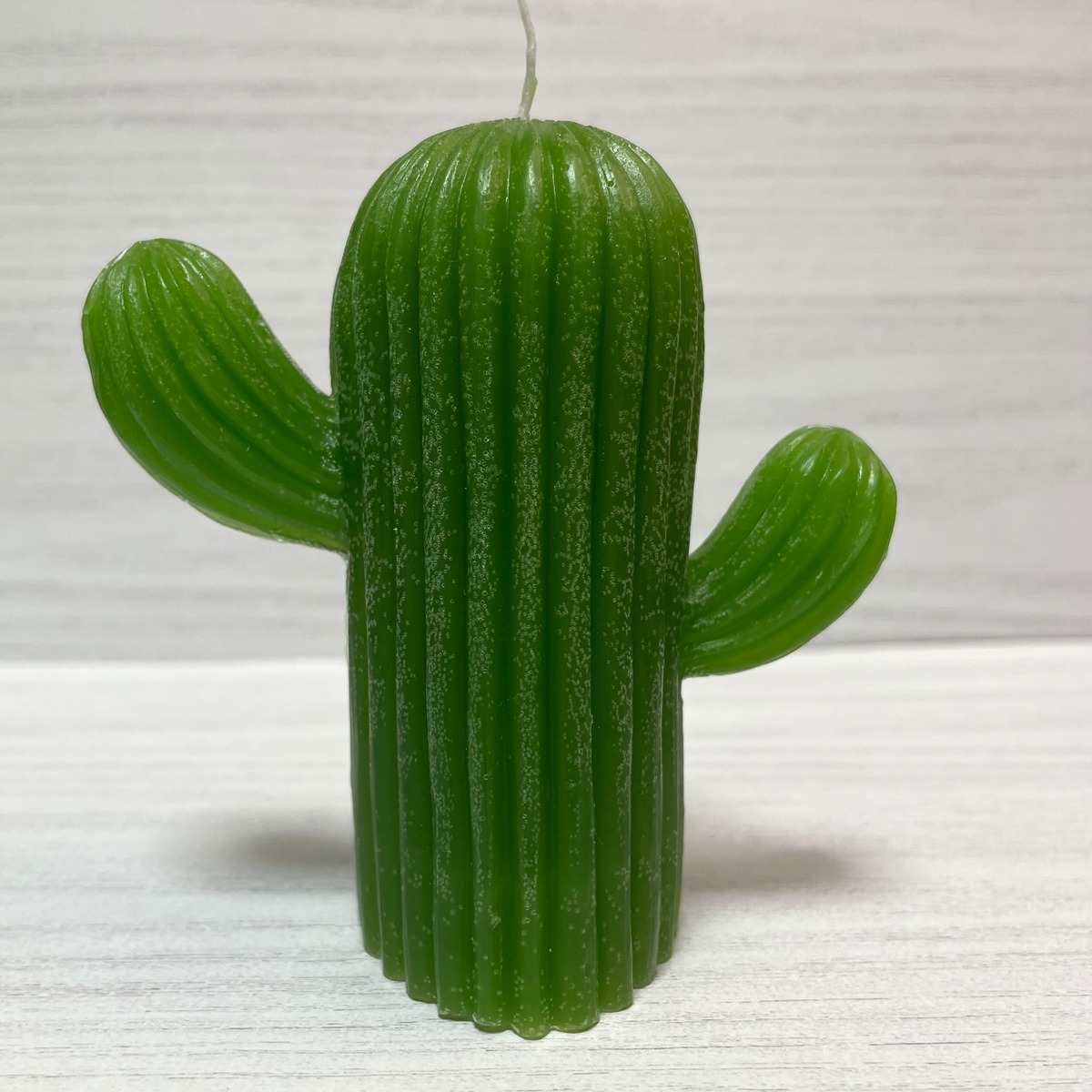 サボテンキャンドル CANDLE ② 【ローズマリーの香り】 | timtomcandle ハンドメイドキャンドル