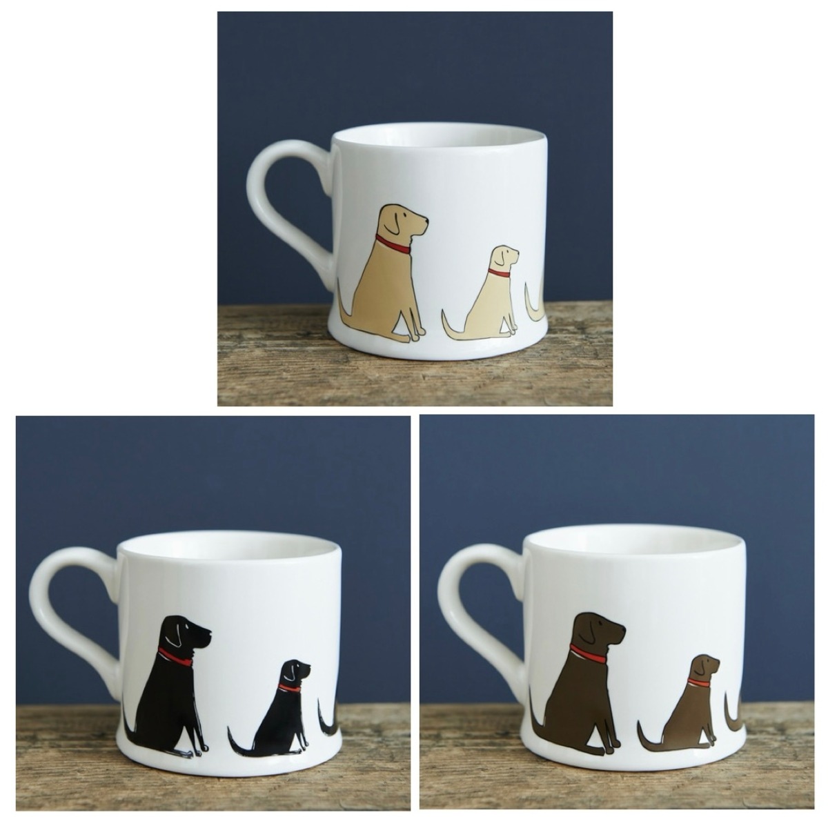 Sweet William【Labrador】Mag | Labrador Retriever