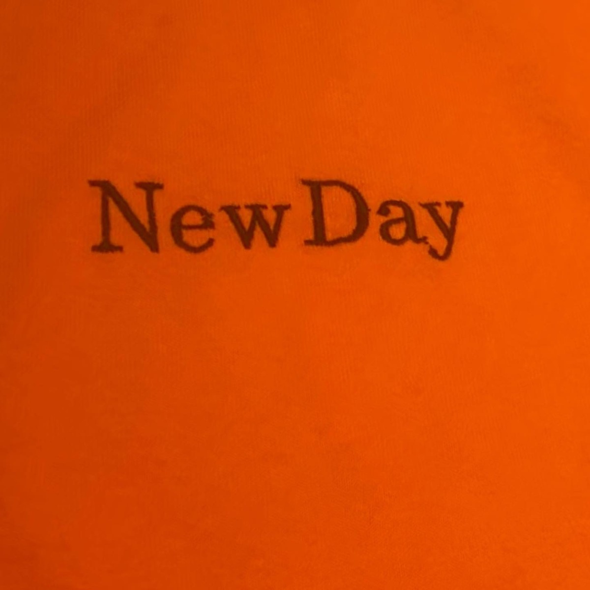 NEW DAY L/S TEE ORANGE | HINT of halo