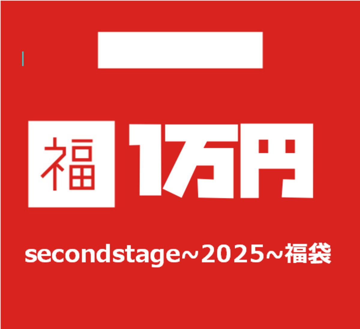 2025年 セカンドステージ福袋 1万円分 | secondstage