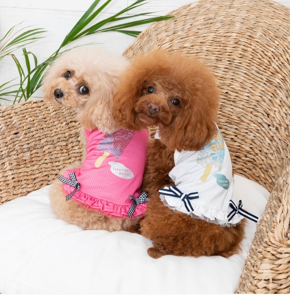 Crazy Boo(クレイジーブー) アイスキャンディメッシュタンク XS/S | BowHOUSE -犬服 アウトレット専門店-