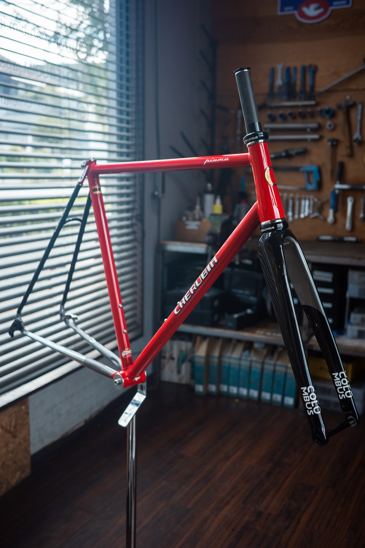Piuma Disc Stock Frame | cherubim