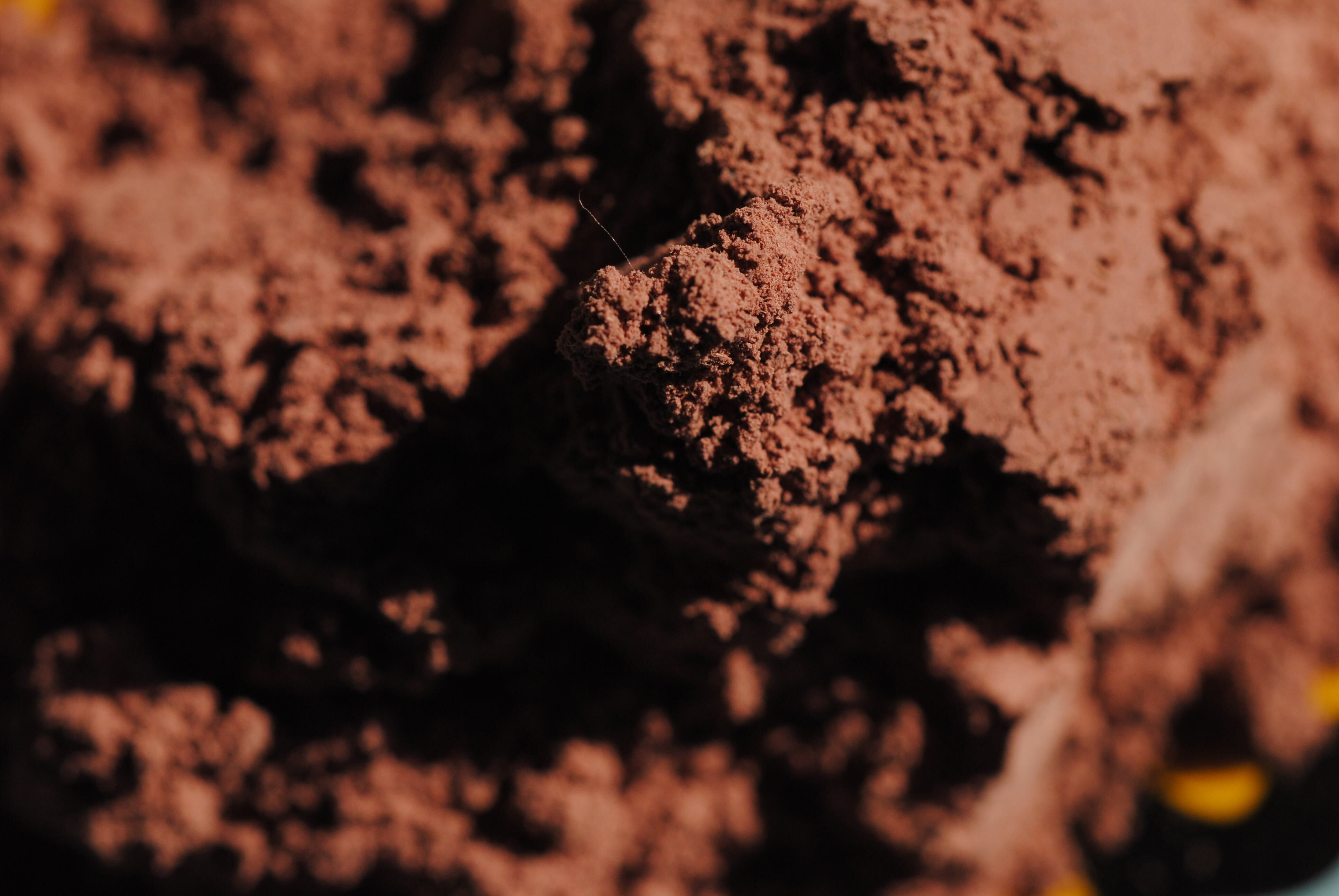 100g Jurema preta root bark powder - mimosa hostilis / tepezcohuite ...