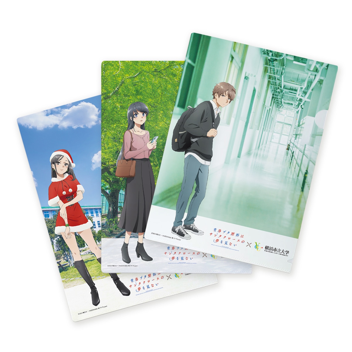 横浜市立大学×『青春ブタ野郎はサンタクロースの夢を見ない』特製クリアファイル（3枚1セット） | ycu-shop