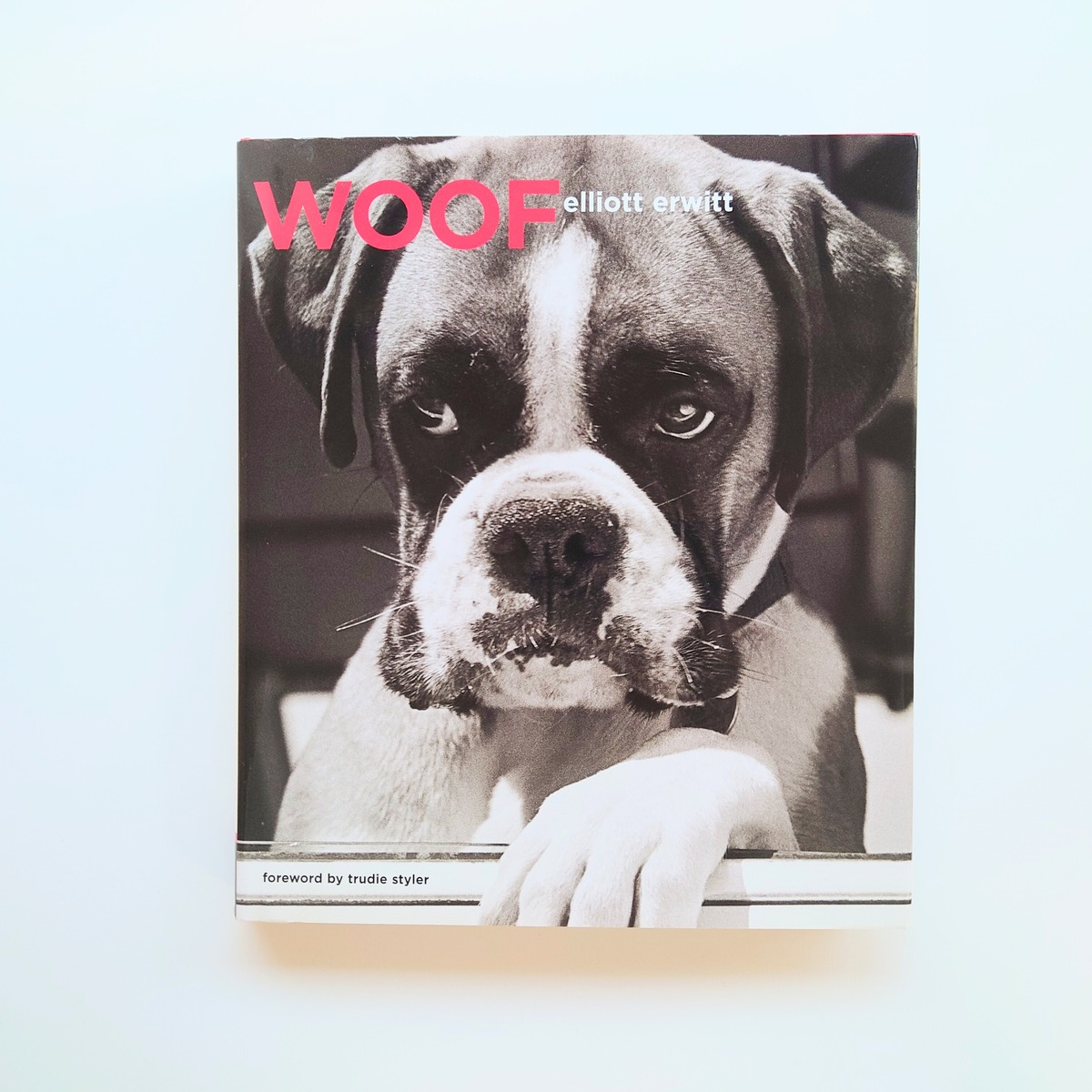 WOOF | イヌグラシ