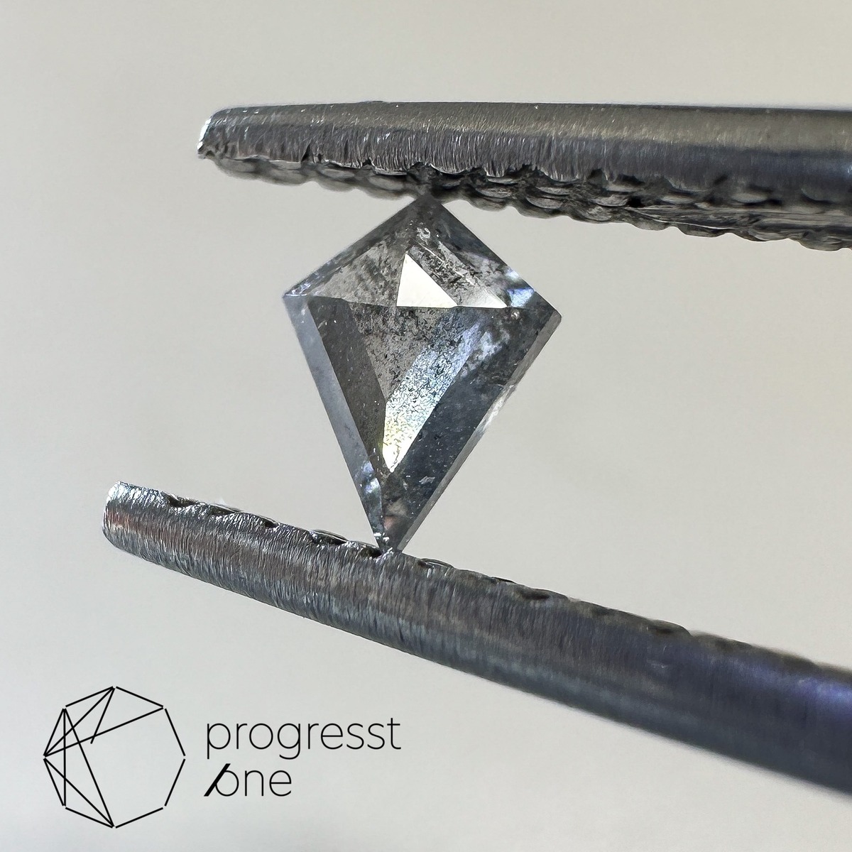 ソルトアンドペッパーダイヤモンド0.19ct | progresstone