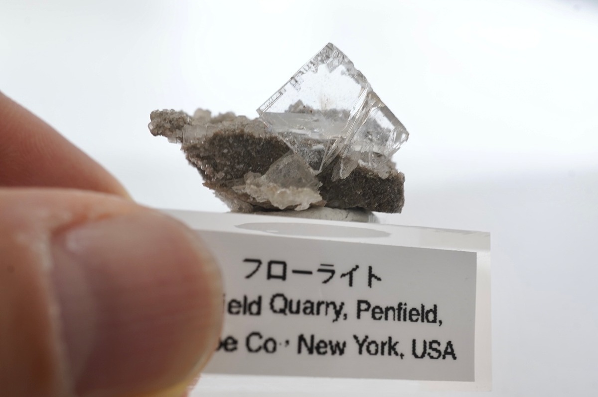 アメリカ、ニューヨーク州Penfield Quarryのカラーレスフローライト | 小さな星雲 ジュエリー