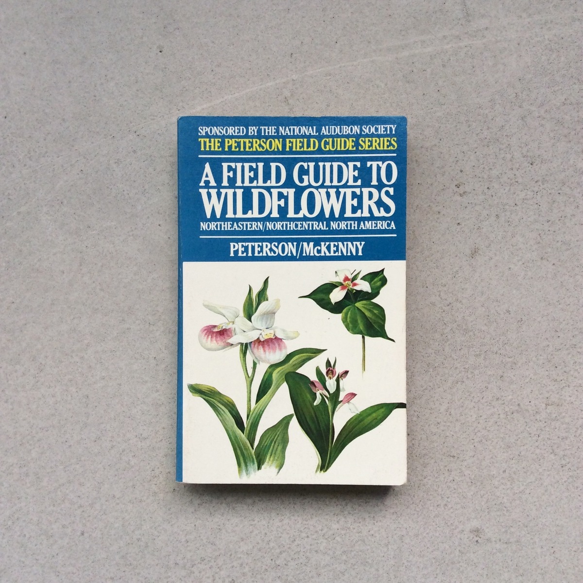 A Field Guide to Wildflowers | CATALOG&BOOKs