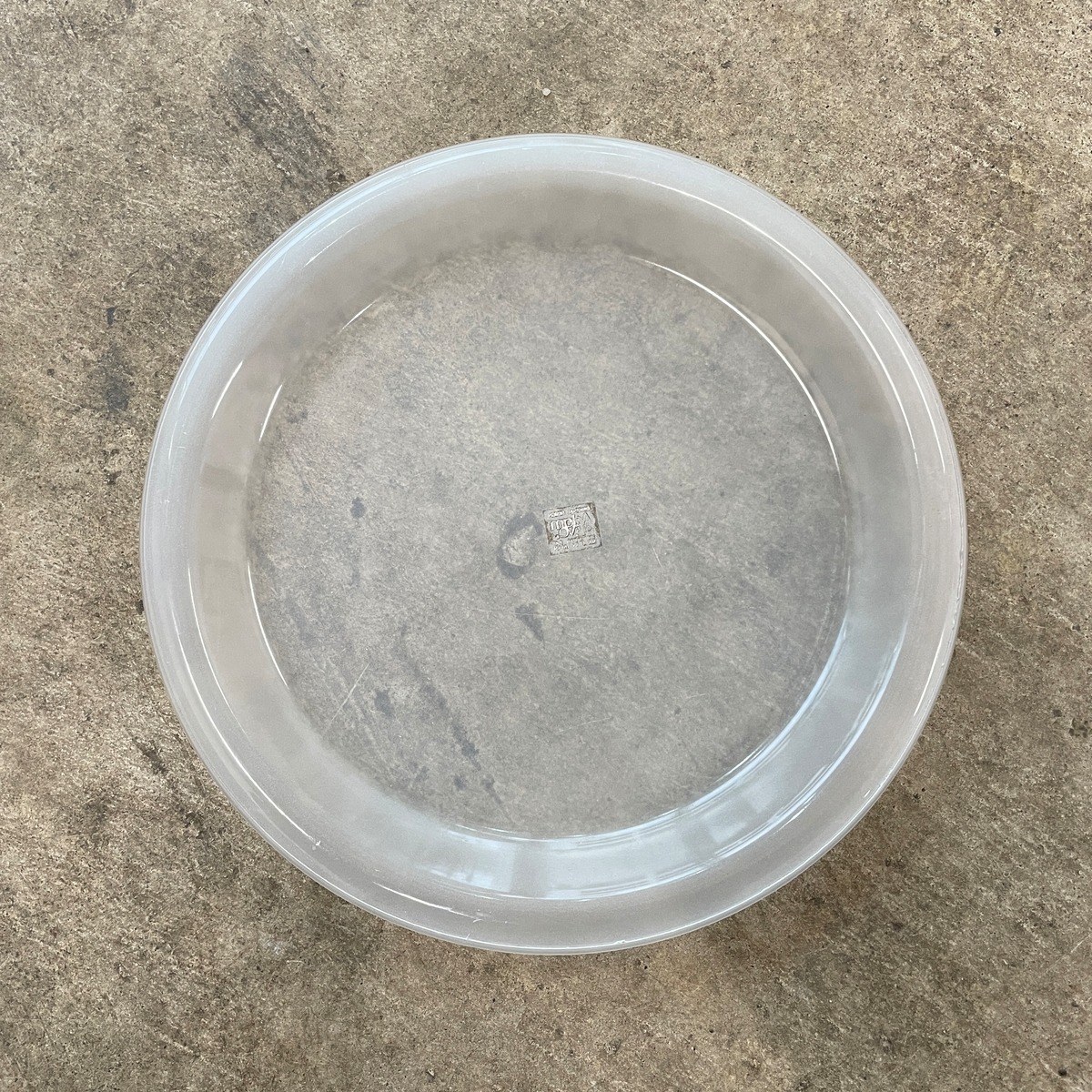 すりガラスのワンプレート皿 | REYOO