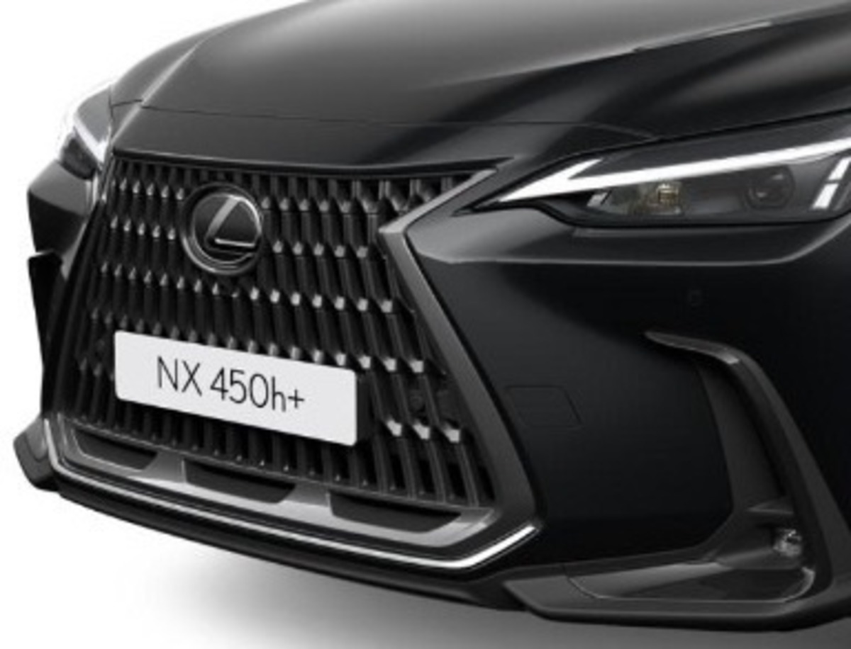 Lexus NX Front Bumper Lower Chrome Garnish | LEXUS FASHION STORE ...