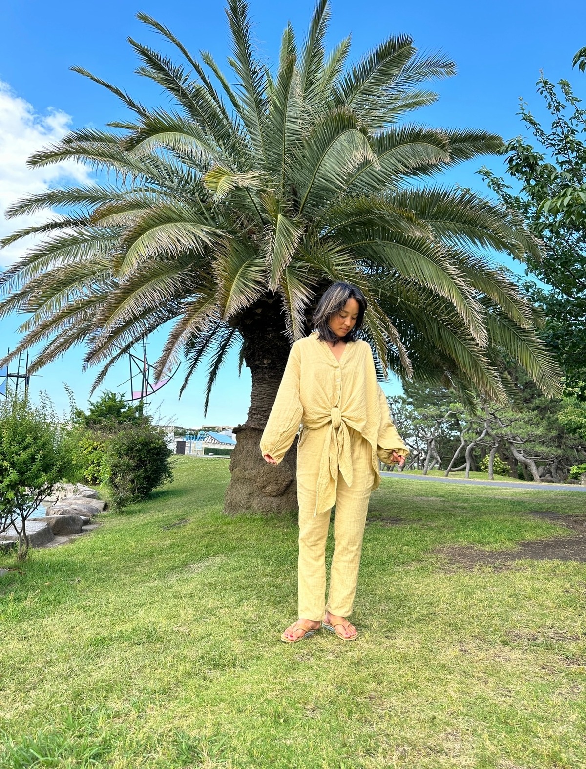 Puff sleeve blouse | halapepe st