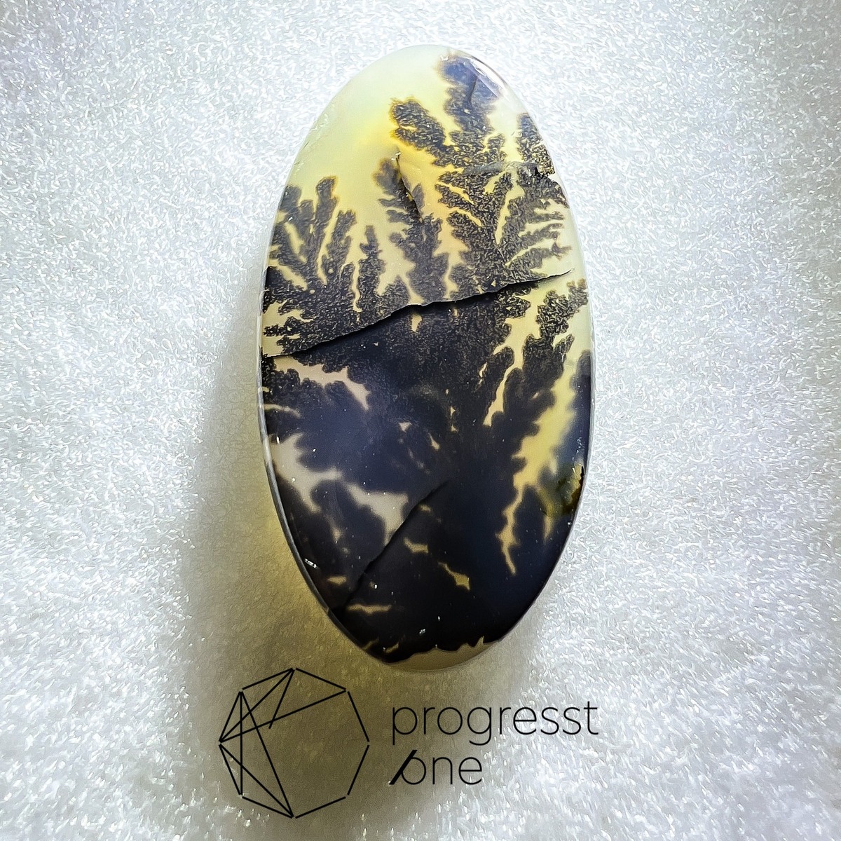 デンドライトインアゲート10.19ct | progresstone