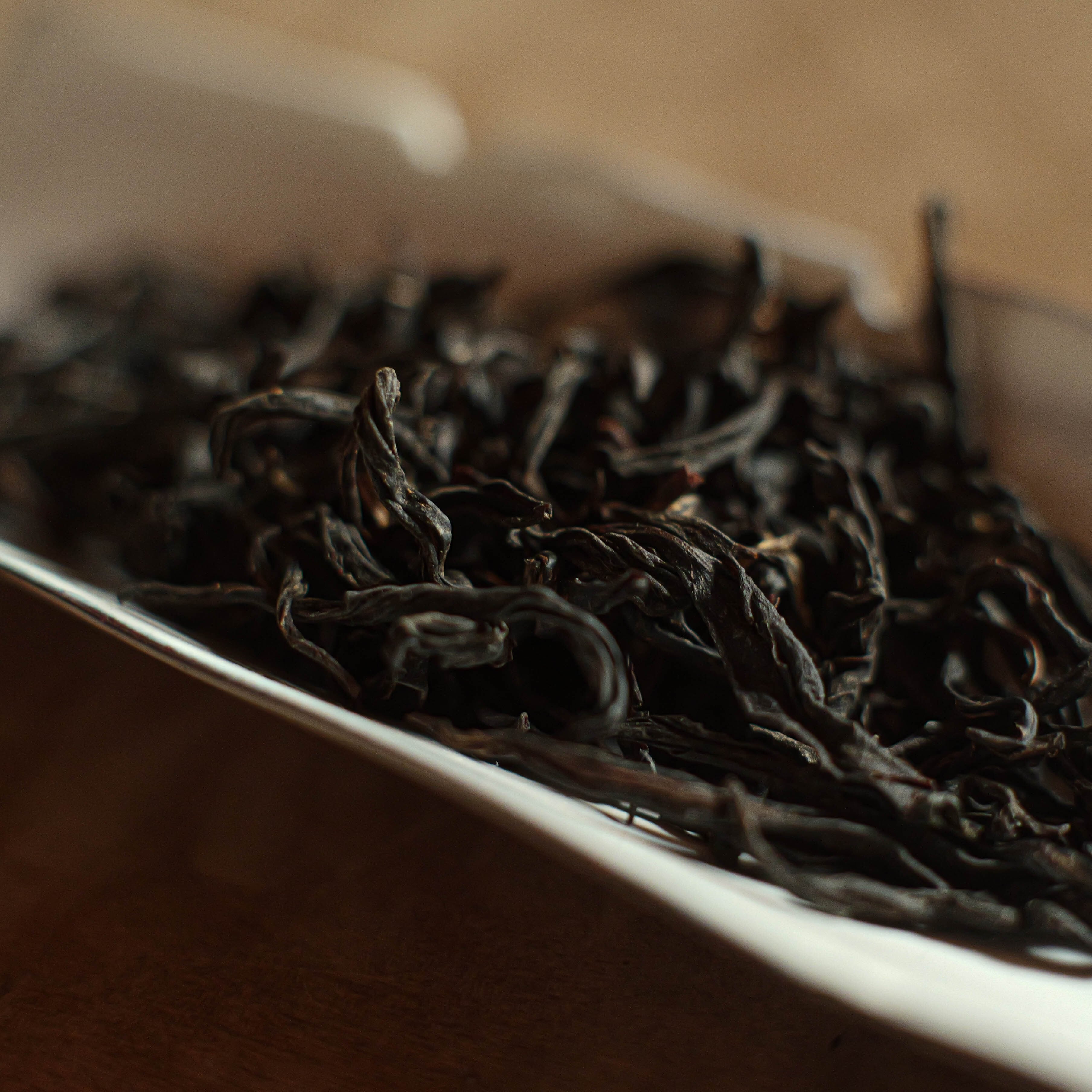 野放老樹色種(2024年・福建安溪林口村) 50g | 北白川糕糰店