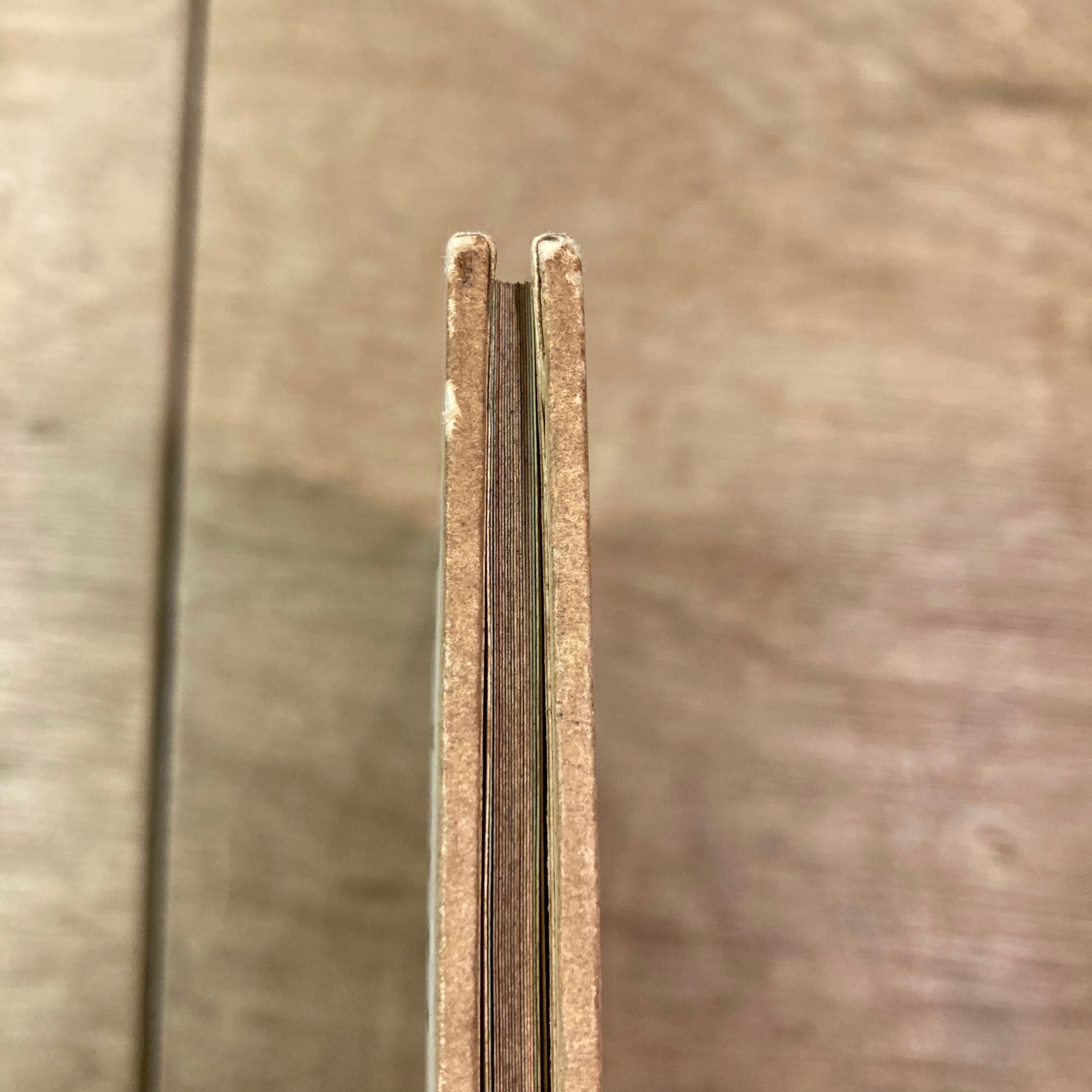 123 / Brian Wildsmith | 百年