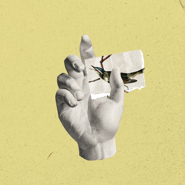 ALL ITEM | RAFT RECORDS