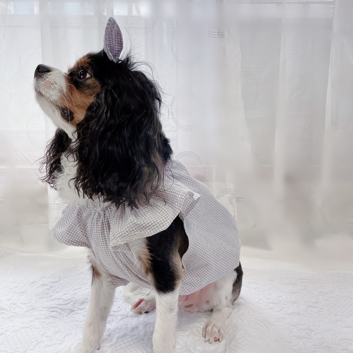 フレアー袖スモック Mサイズ | chappy&choco factory