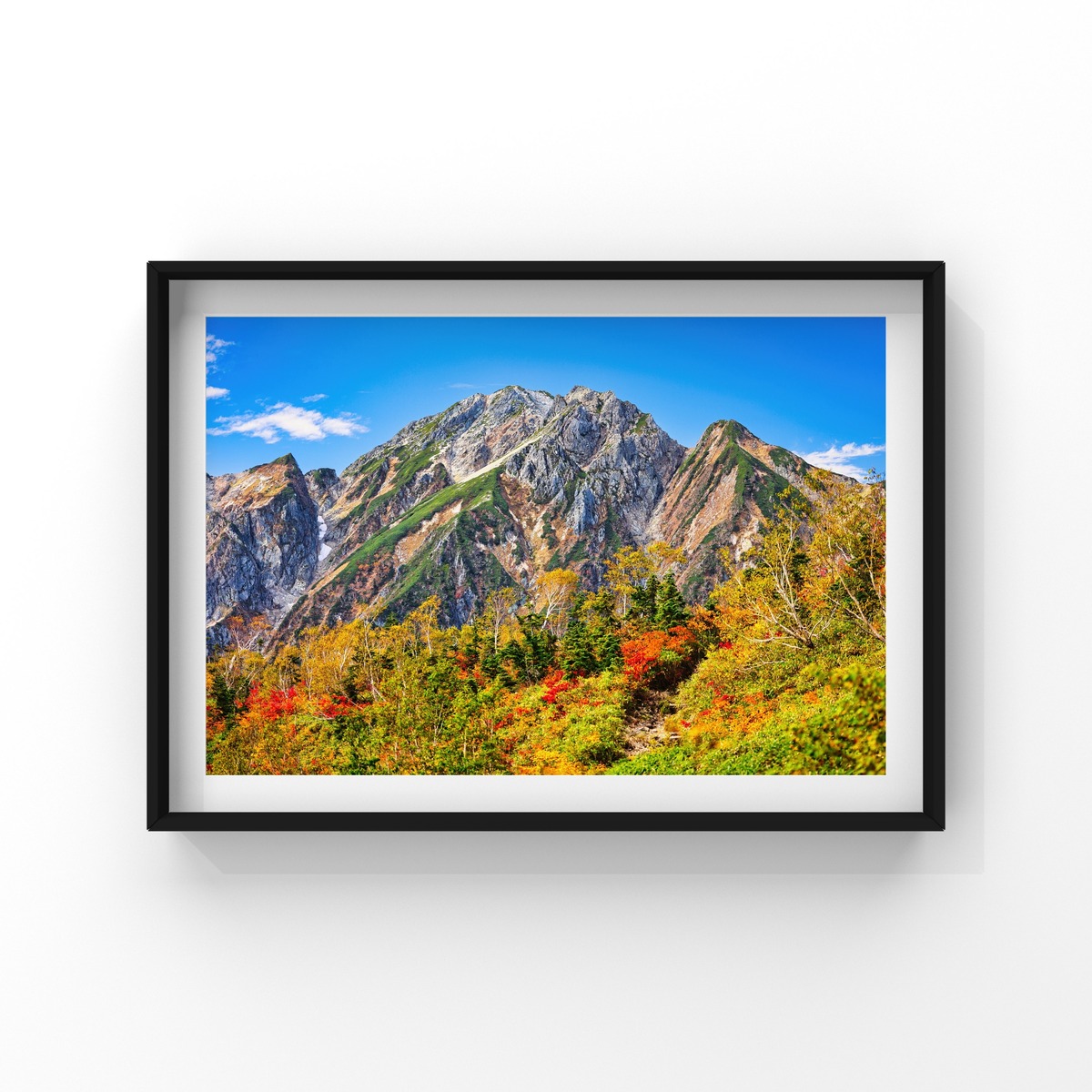 豊彩の五龍 | Taka Mountain Gallery