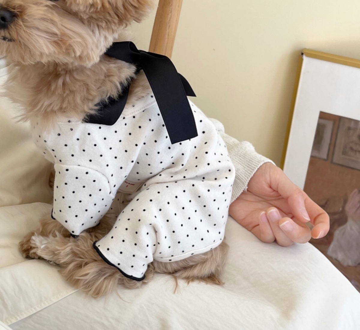 即納【korea select】dot ballet core rompers | ropet