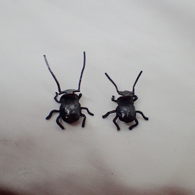 Exechesops leucopis／エゴヒゲナガゾウムシ（ウシヅラヒゲナガゾウムシ） | tagaya