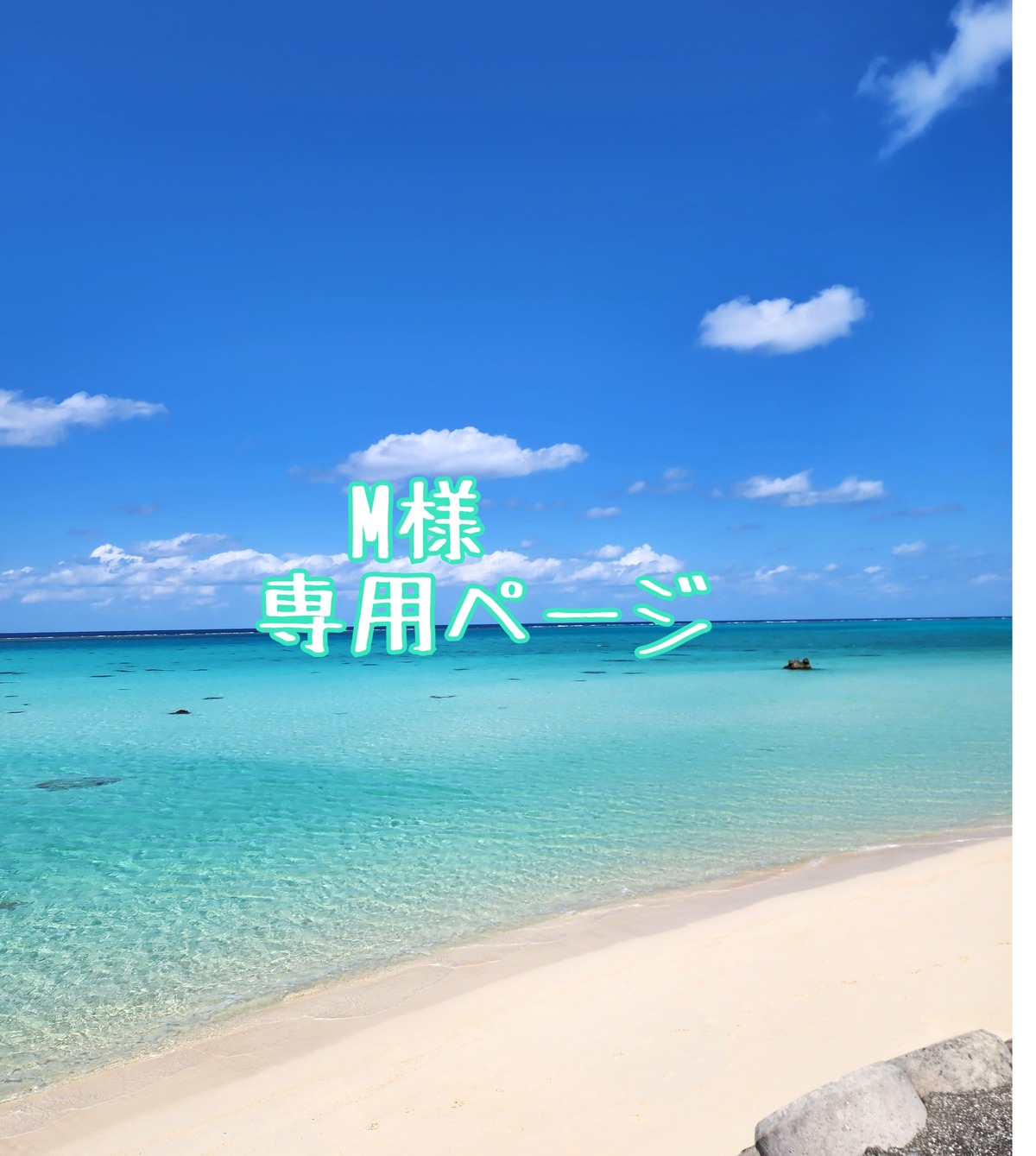M様専用ページ | Leaf Edgez