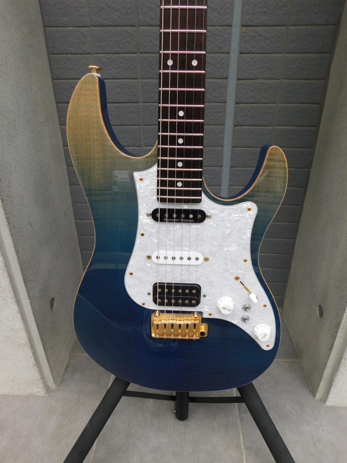 中古 FUJIGEN (FGN) フジゲン EXPERT OS EOS-FM-R (Navy Blue Gradation）ギグバック付き | マルヤ
