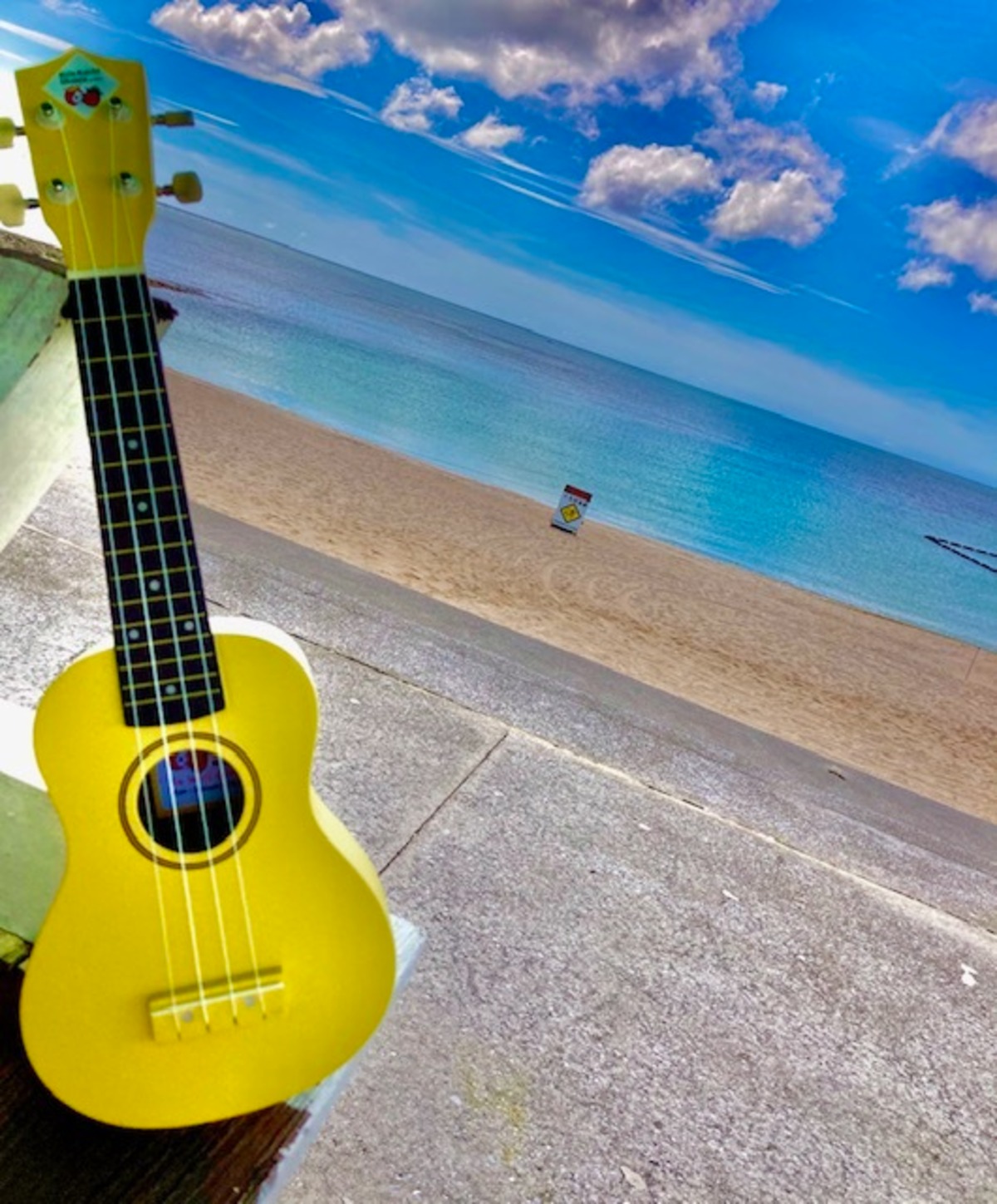 【AKISS】Hala Kahiki Ukulele／ハラカヒキ ウクレレ | AKISS
