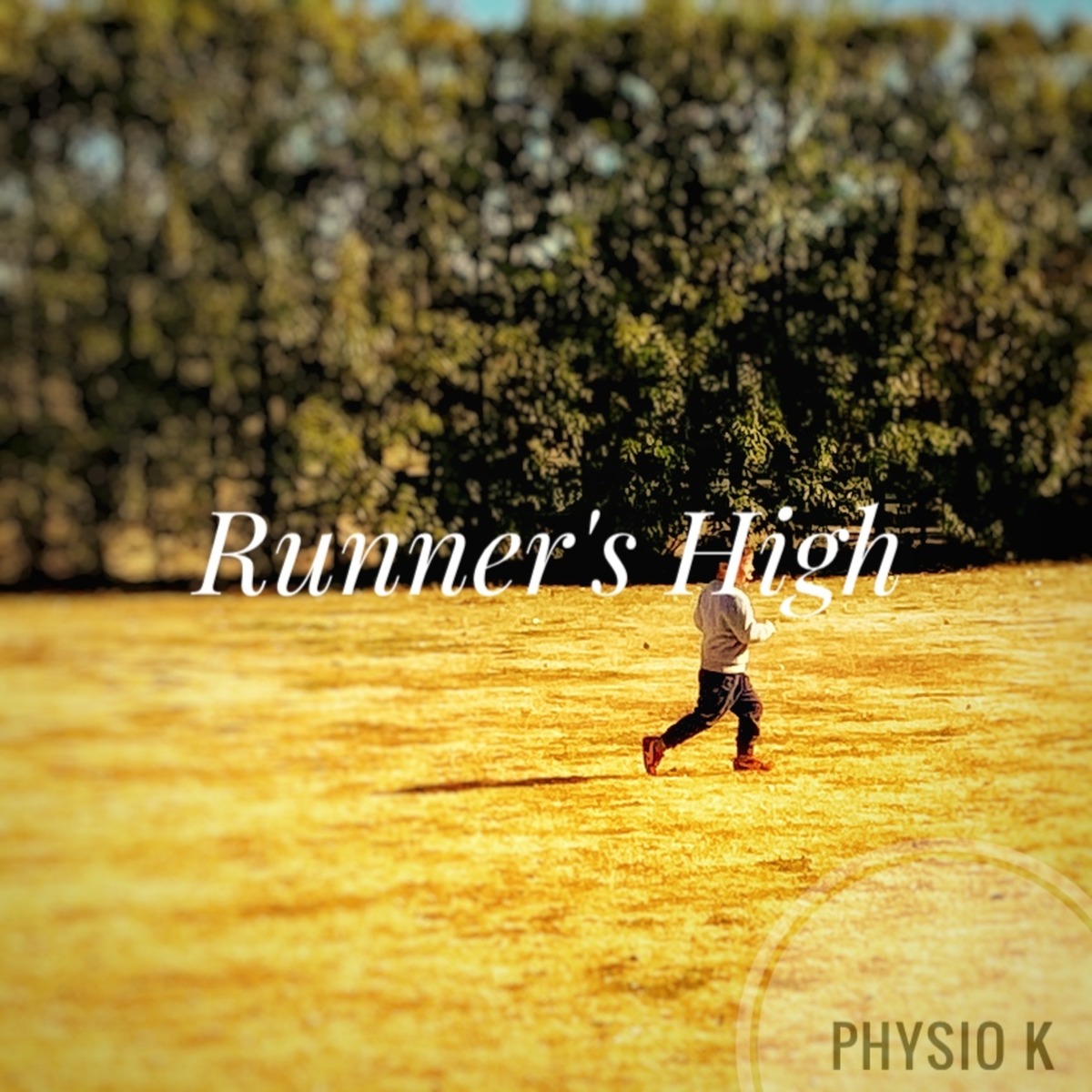 Runner's High | PhysioK