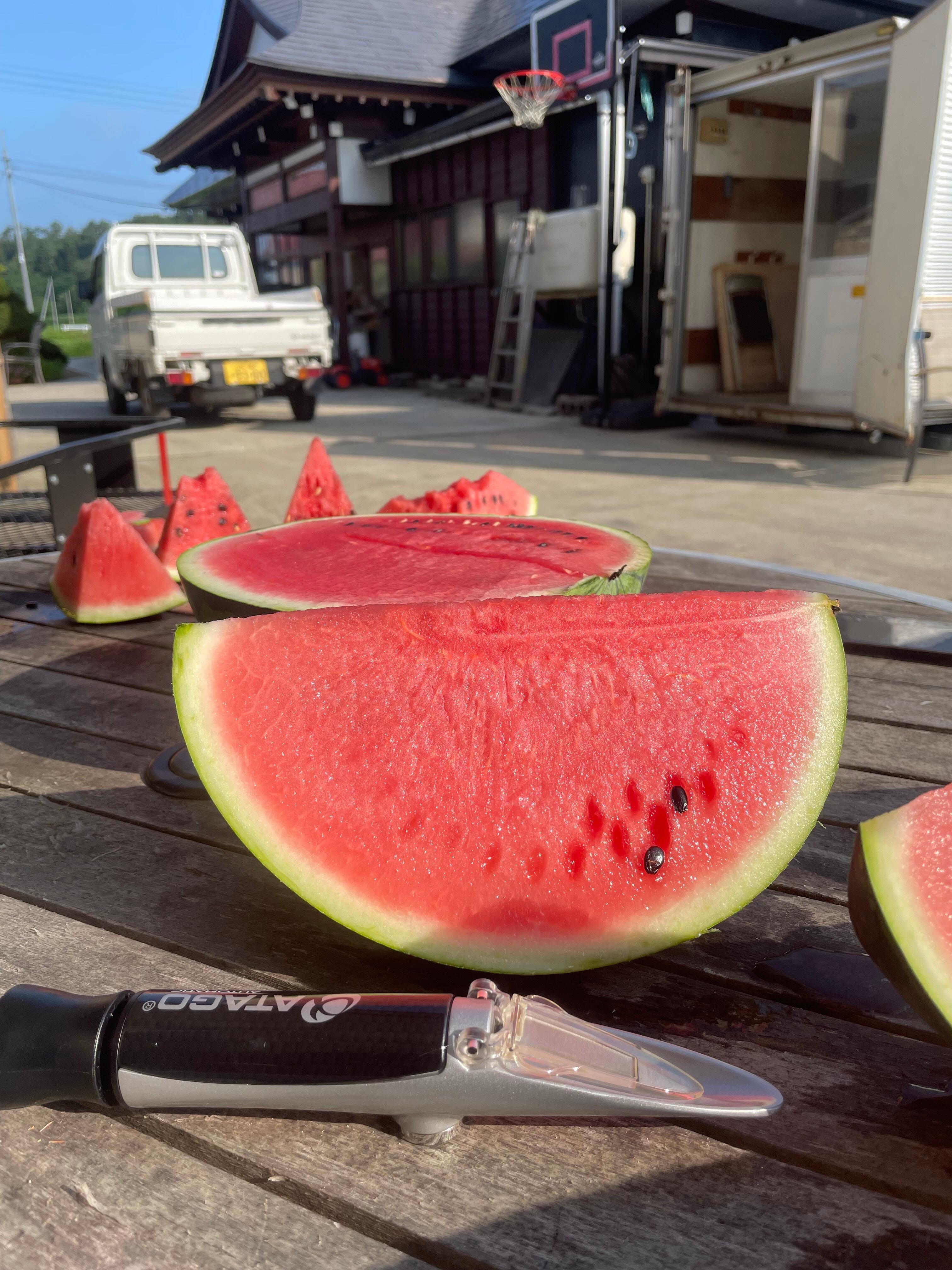 尾花沢すいか 厳選大玉 一玉 2L(7kg) | suganosuika