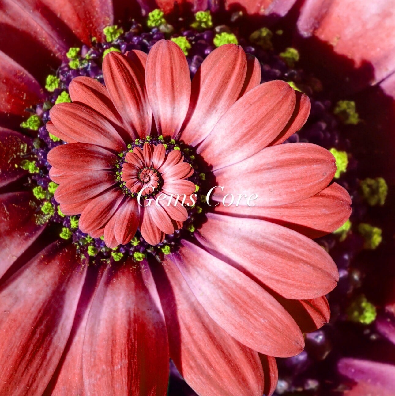 candy_cha_n様 1/29 | Gems Core