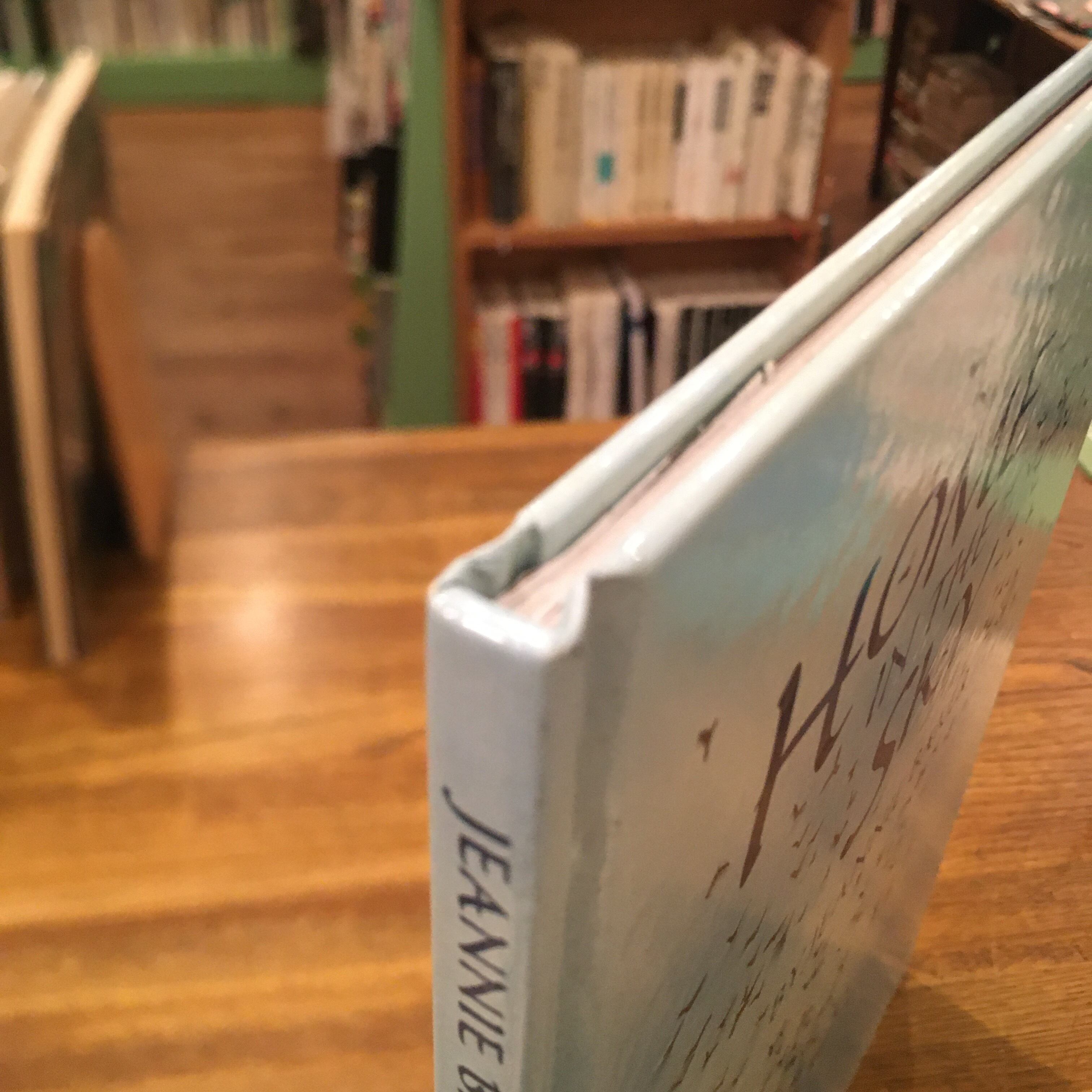 HOME IN THE SKY / ジーニー・ベイカー（Jeannie Baker） | 百年