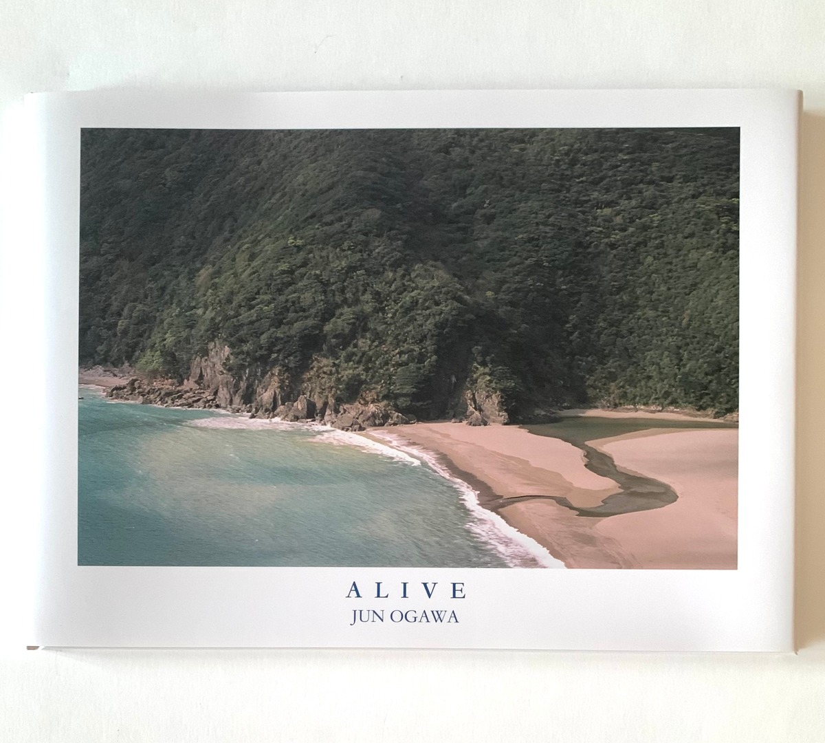 ALIVE / Jun Ogawa | Hummingbird Books