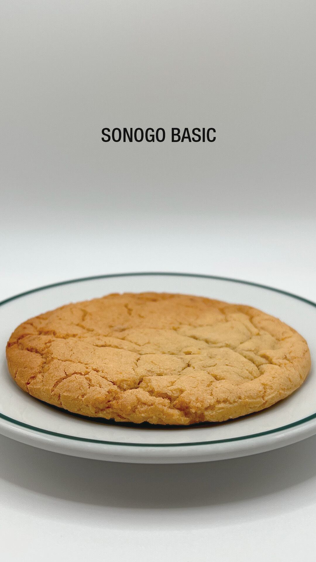 00 SONOGO BASIC | sonogo...