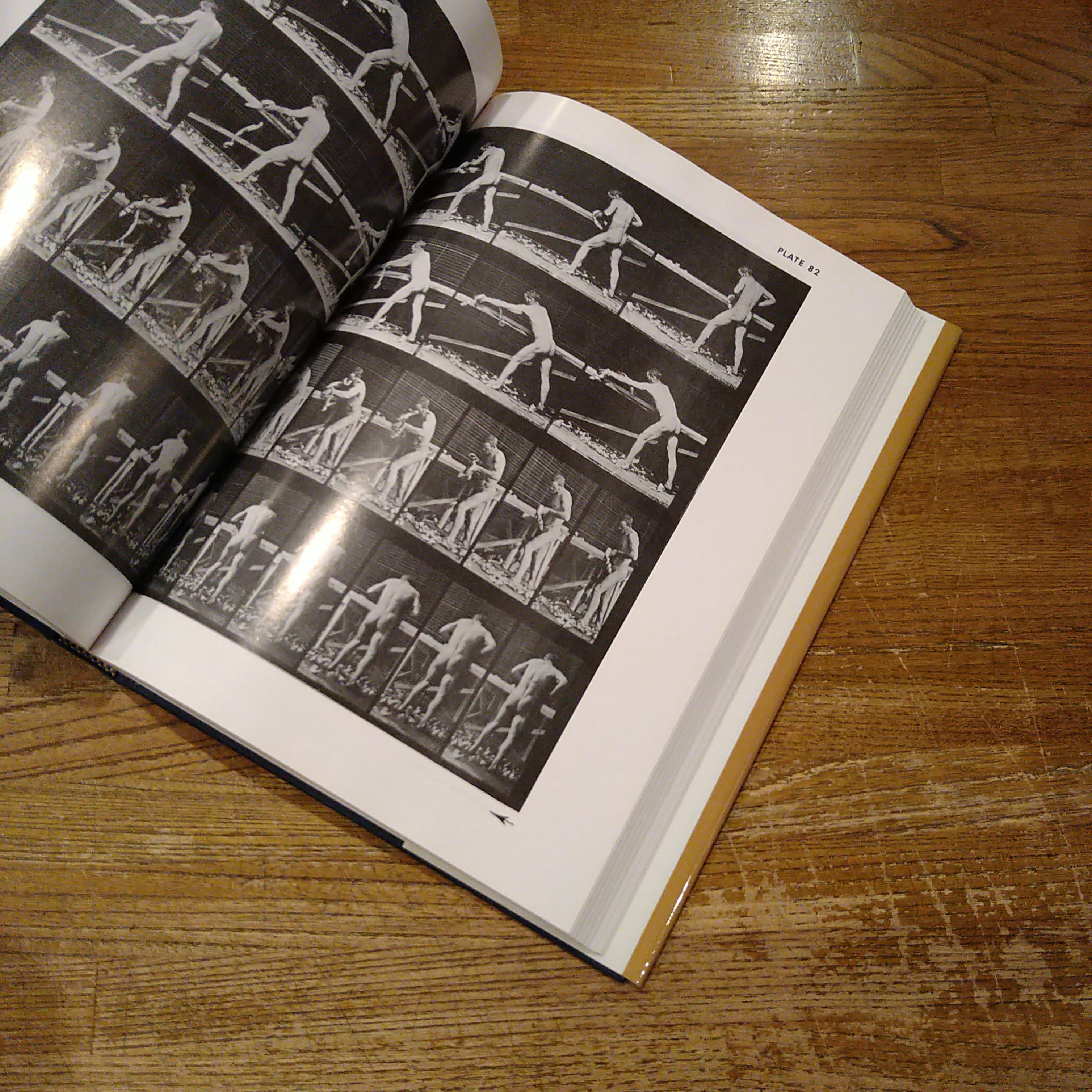 THE HUMAN FIGURE IN MOTION / Eadweard Muybridge | 百年