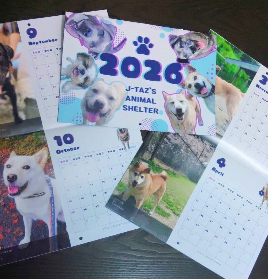 2026壁掛けカレンダー | J-Taz's animalshelter