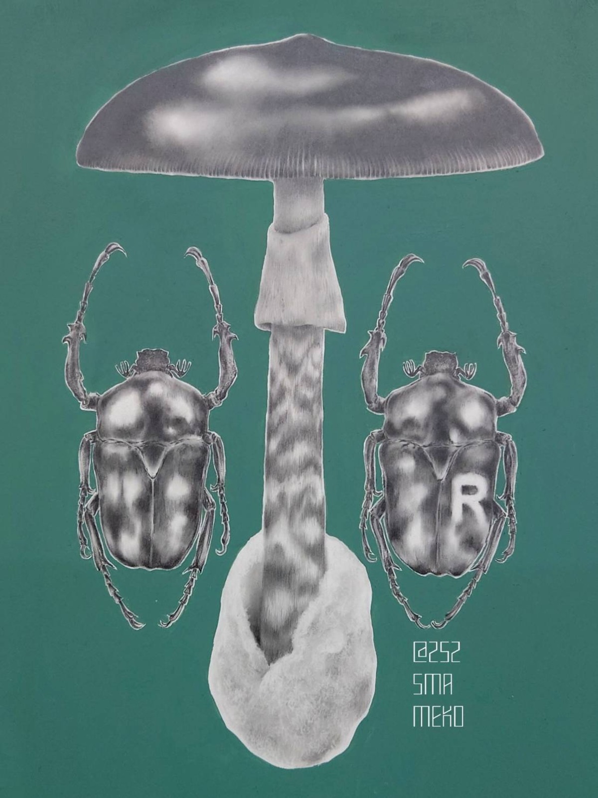 まめ M10-3個 | moripen