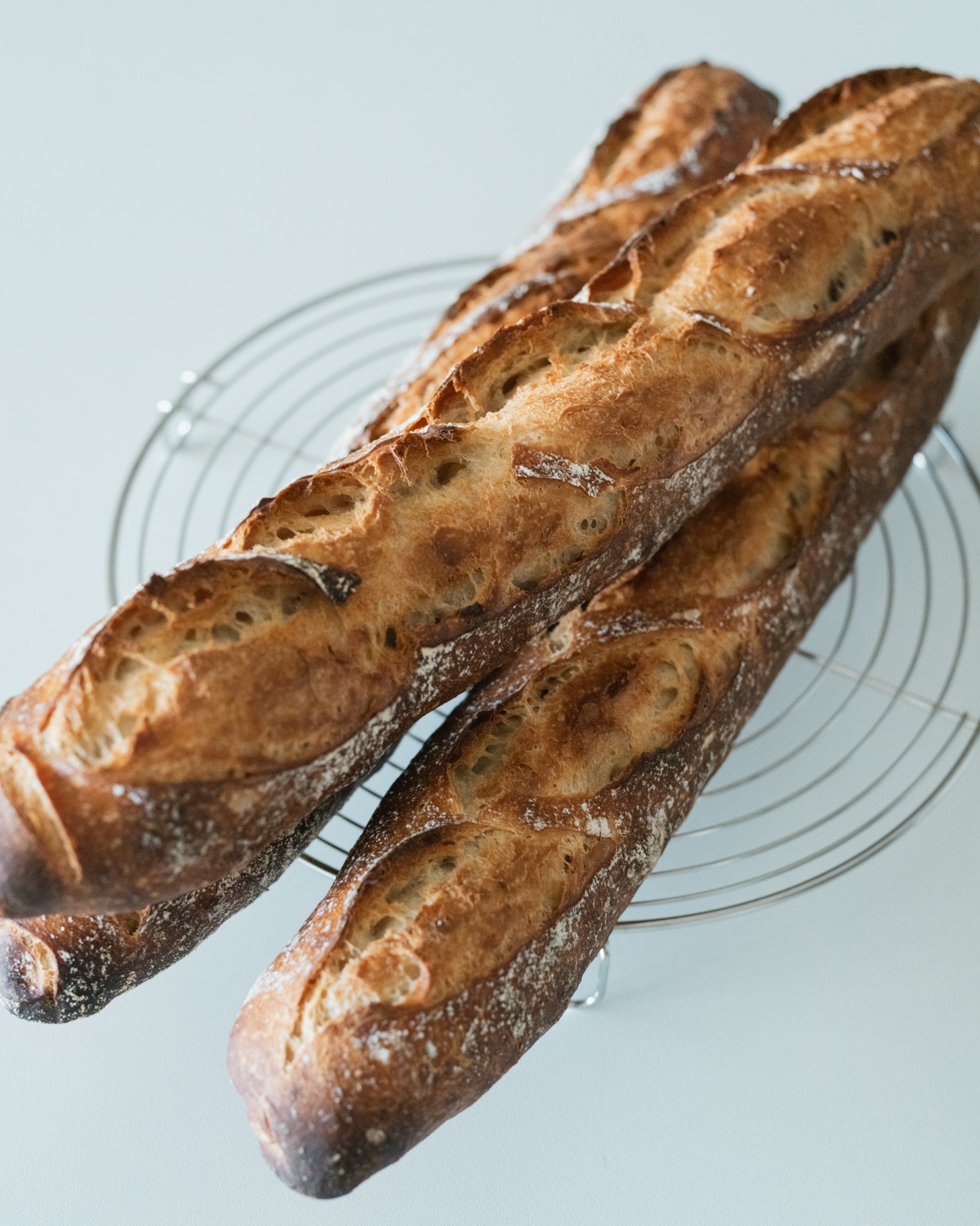 BAGUETTE LESSSON | y u k o o b a