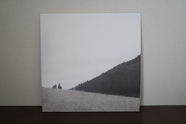 Meadow & Gen Tanabe / Two Lands 《レコード》 | resonance music